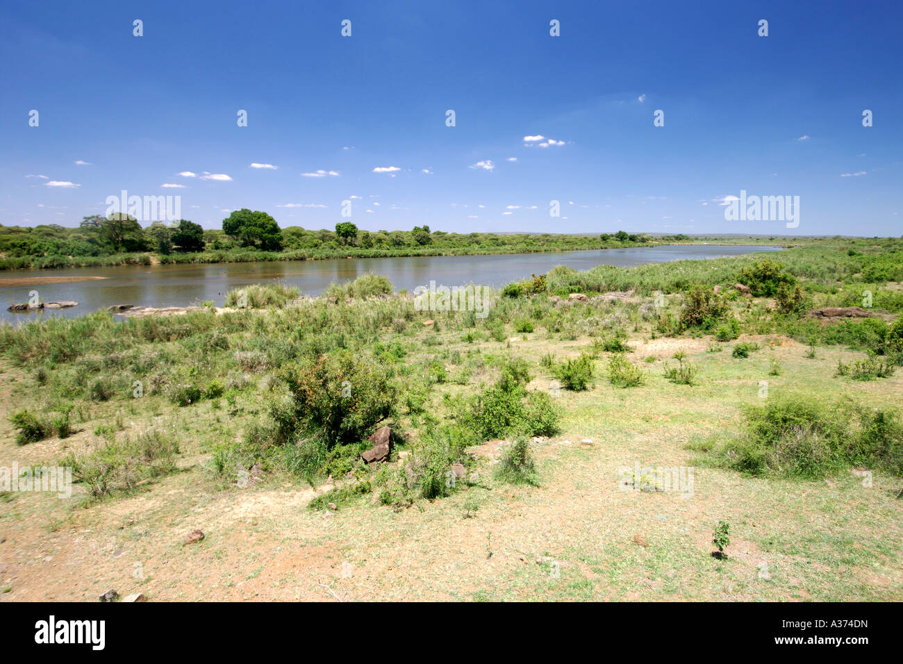 The Sabie River in South Africa's Kruger National Park Stock Photo - Alamy