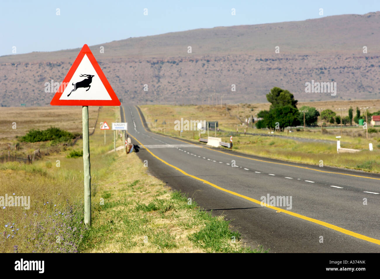 Warning sign for antelope on a highway in South Africa's Karoo region ...