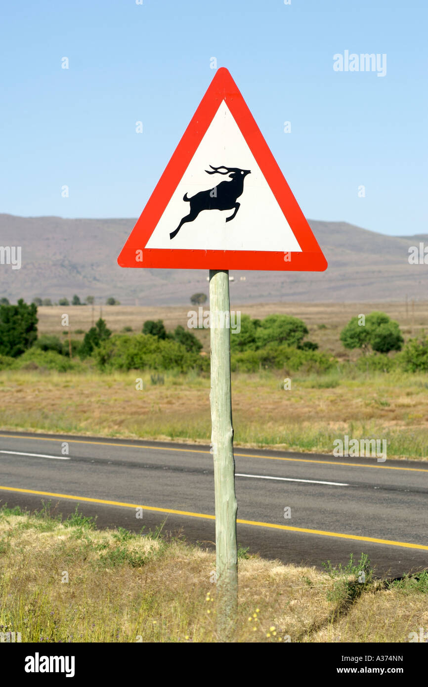 Warning sign for antelope on a highway in South Africa's Karoo region ...