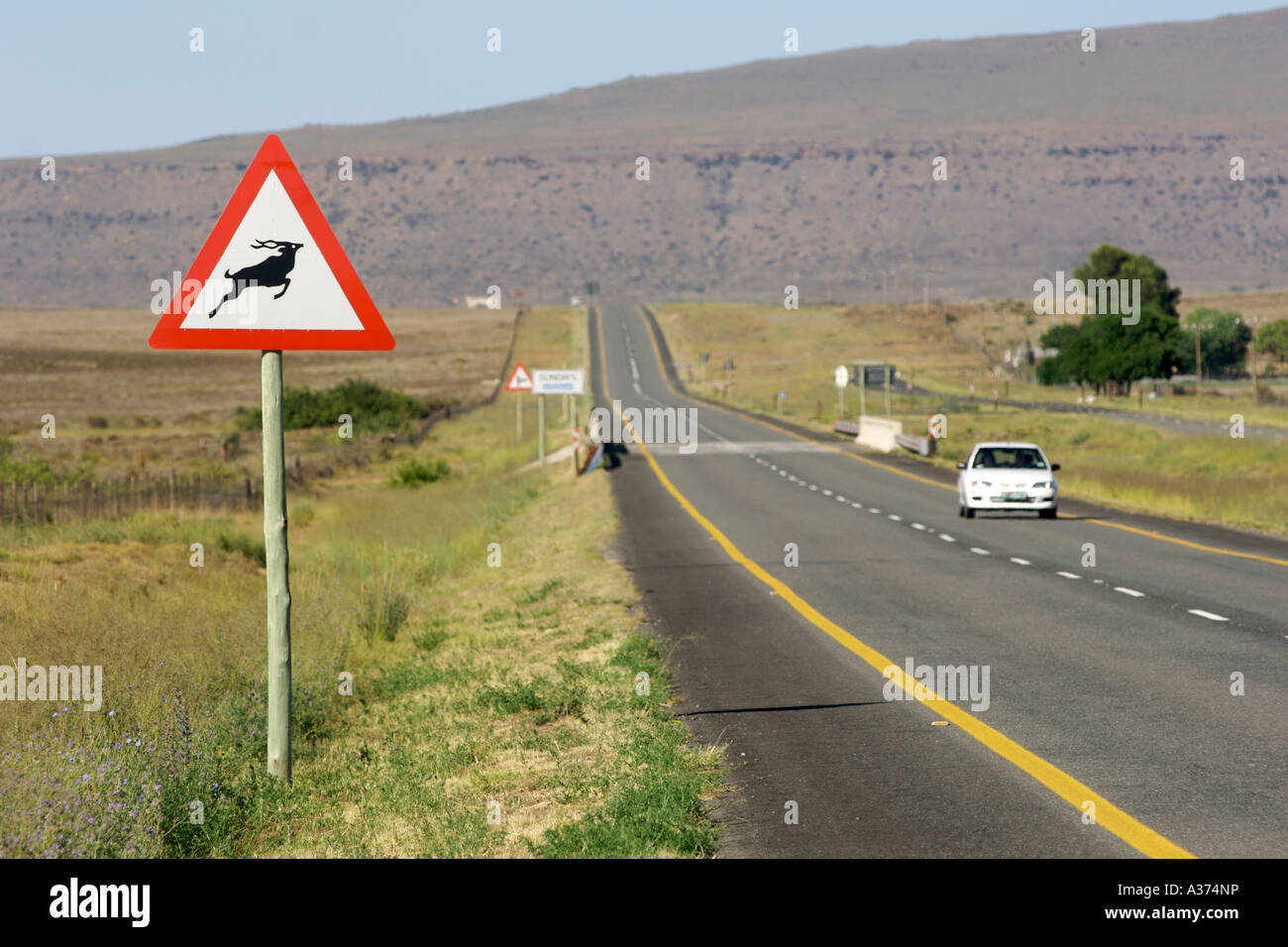 Warning sign for antelope on a highway in South Africa's Karoo region ...