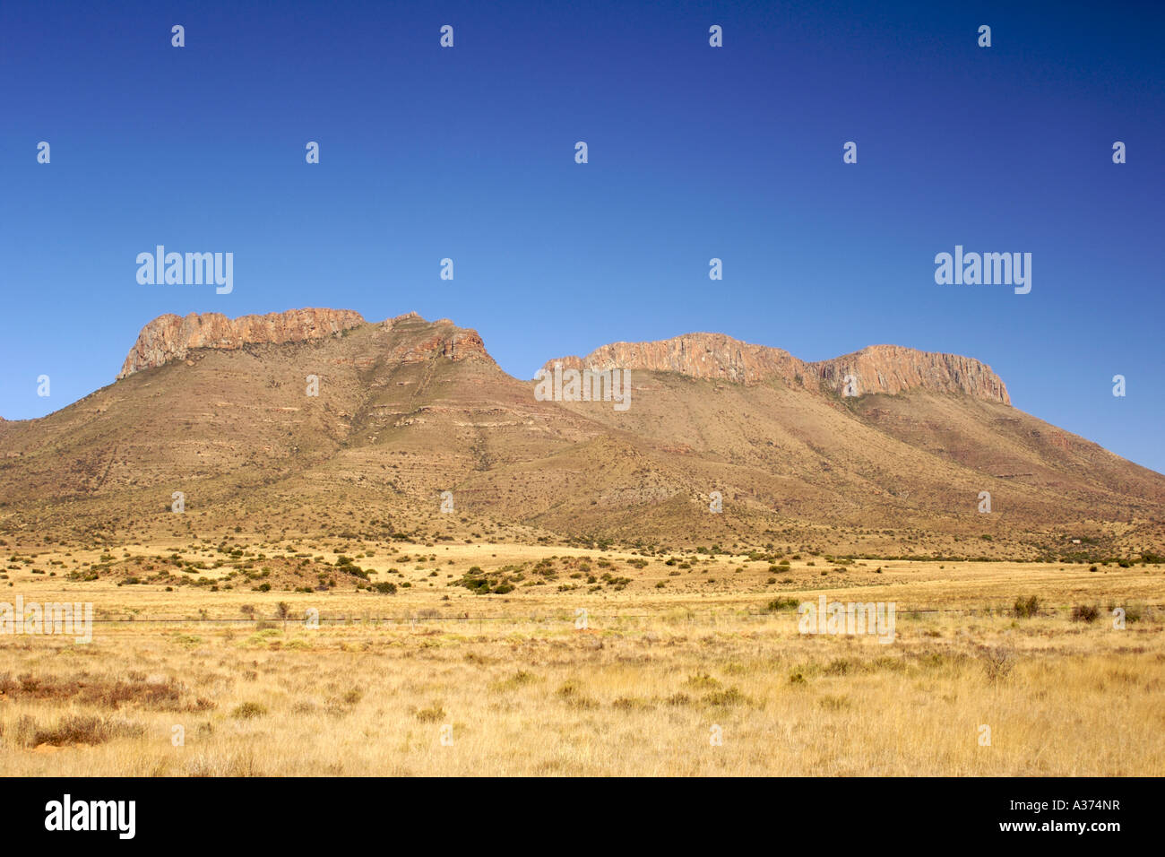 Middelburg south africa hi-res stock photography and images - Alamy