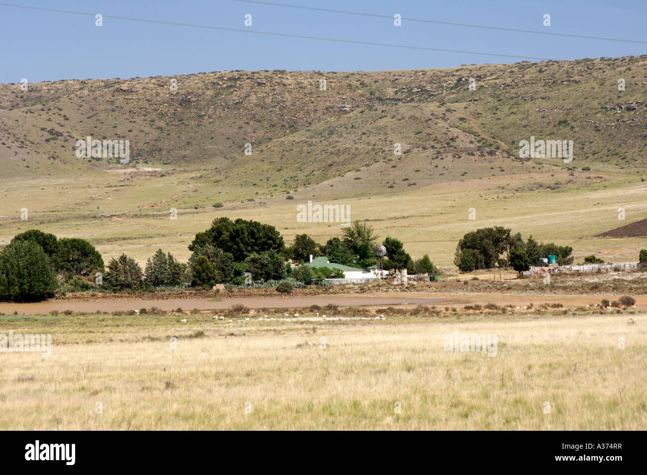 Small farm between Middelburg and Colesburg in the Karoo region of ...