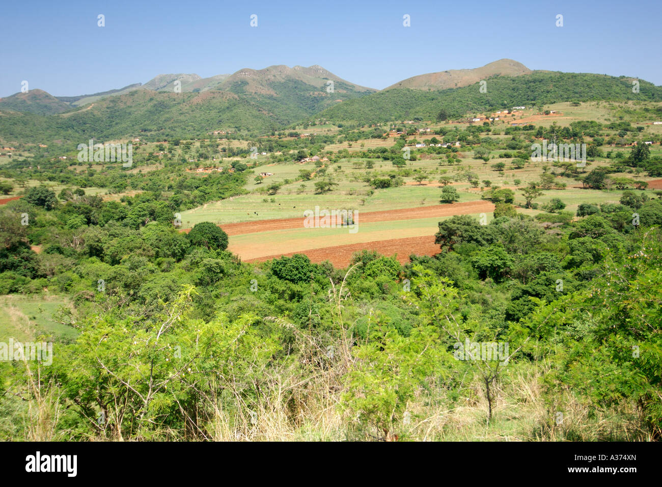 Piggs peak hi-res stock photography and images - Alamy