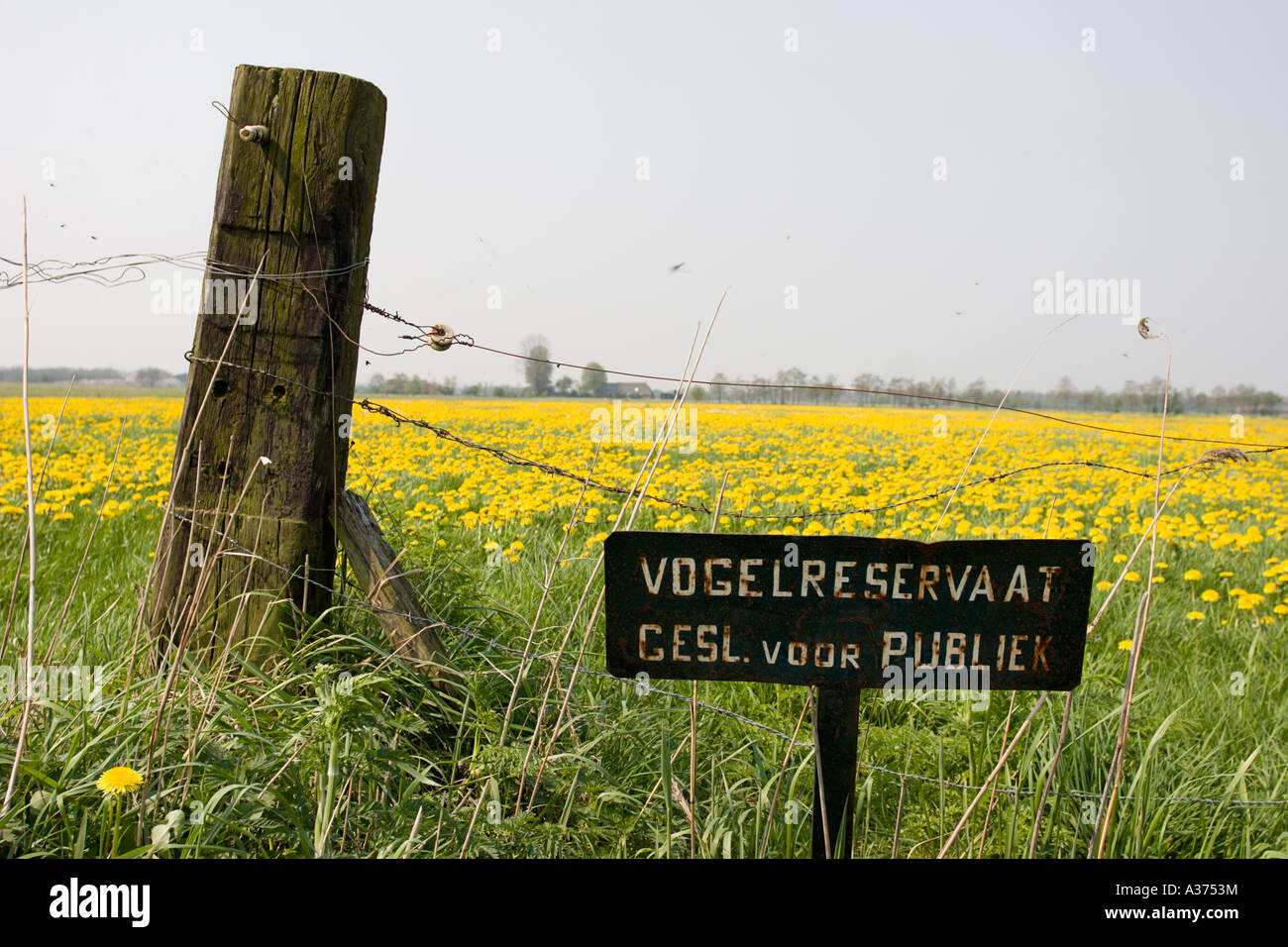 A sign saying: "Bird reserve closed to public Stock Photo - Alamy