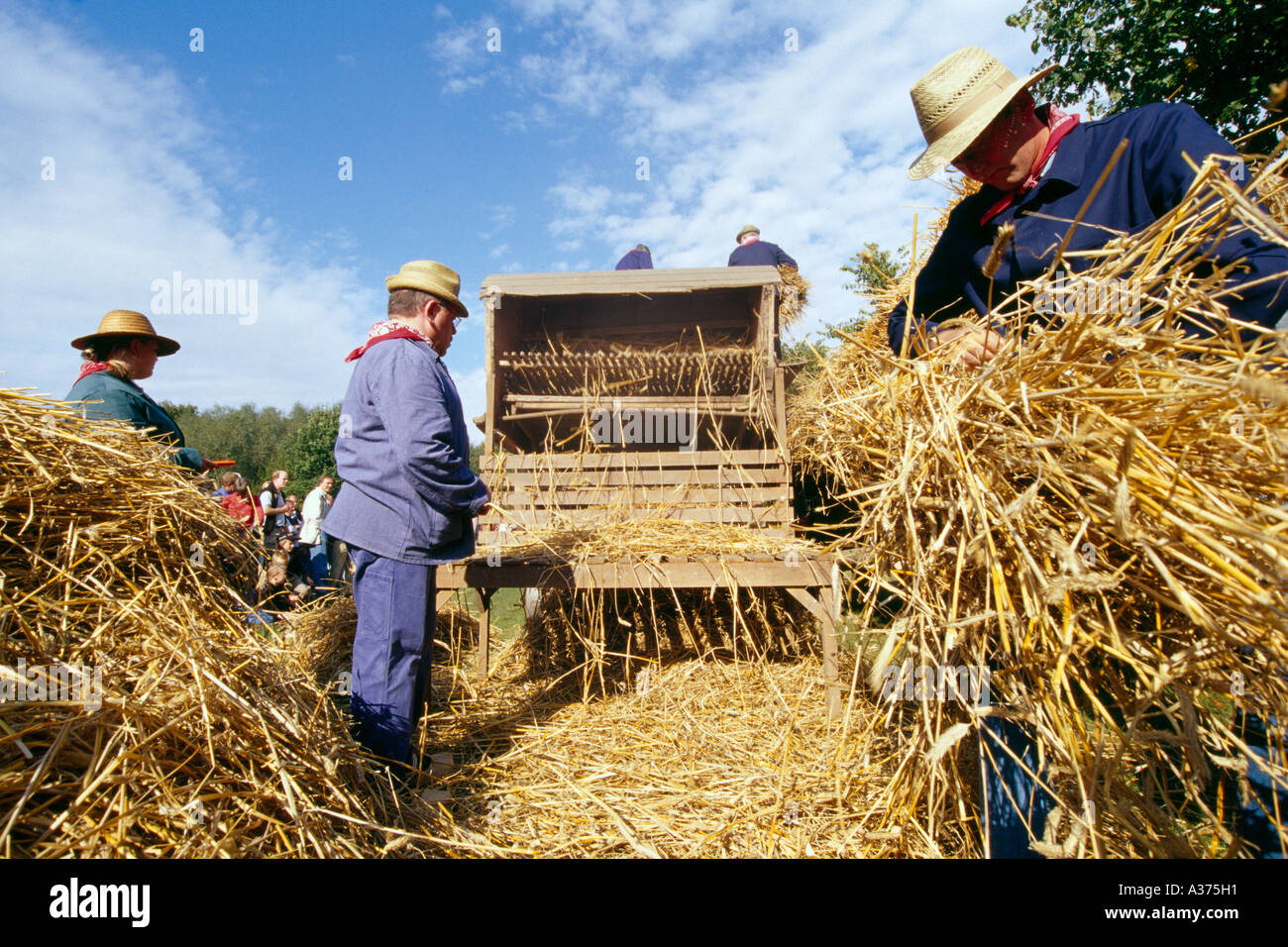 Harvest Ostbevern Germany Stock Photo - Alamy