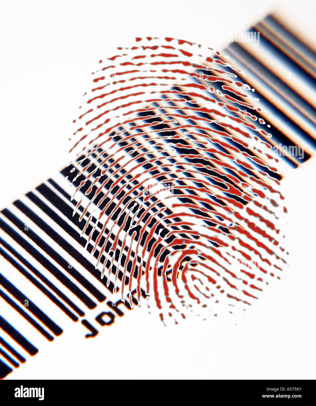 A Bar Code and Fingerprint concept for biometric information Stock ...