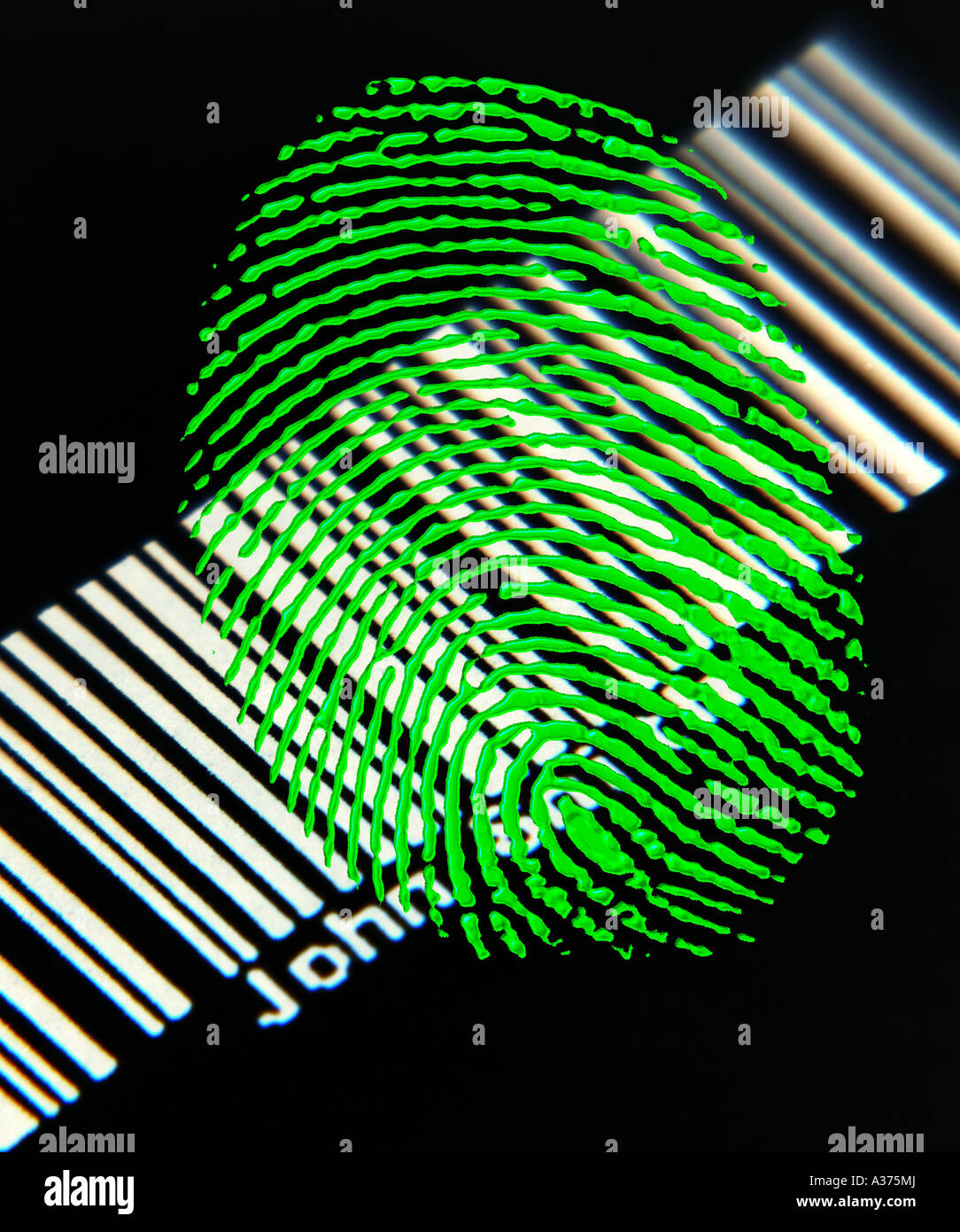 A Bar Code and Fingerprint concept for biometric information Stock ...