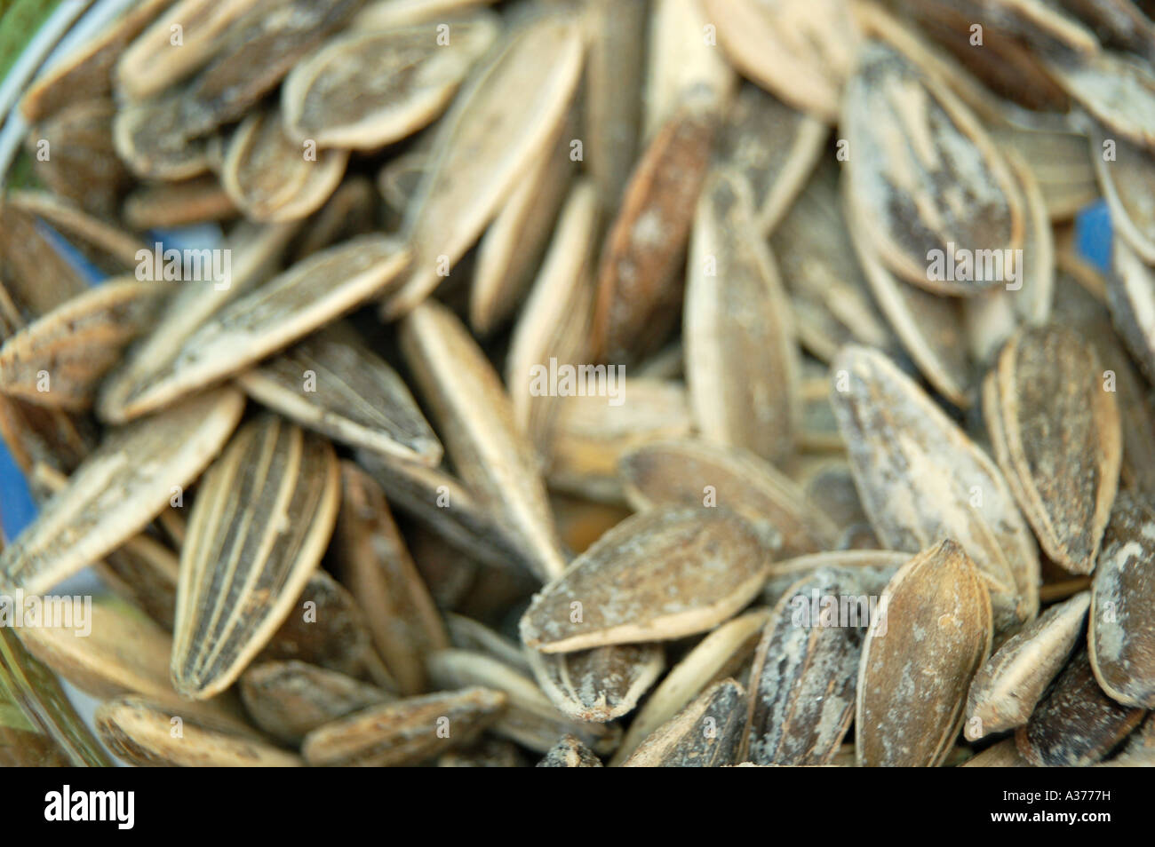 A collection of salt-encrusted sunflower seeds Stock Photo - Alamy