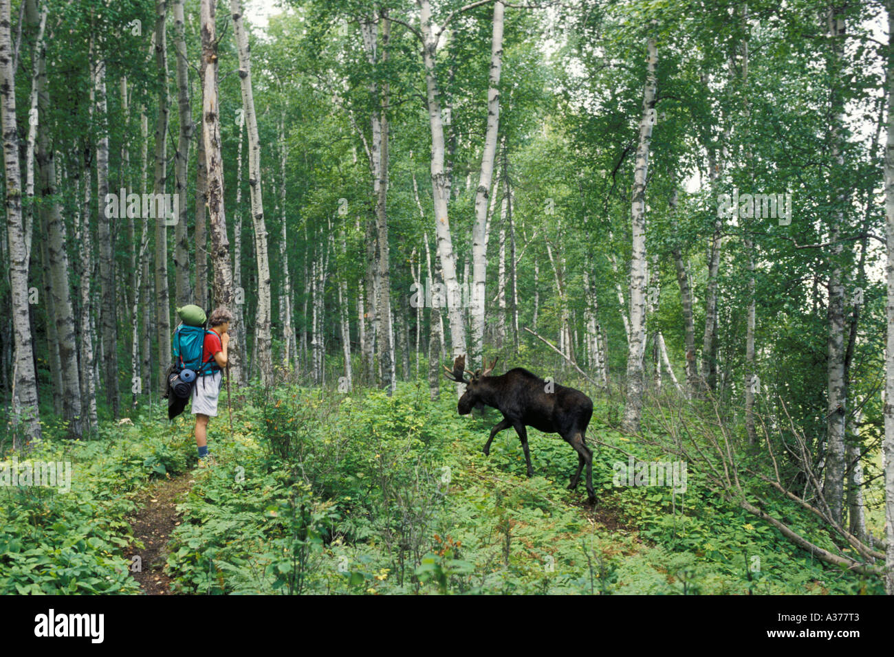 Isle royale national park hi-res stock photography and images - Alamy