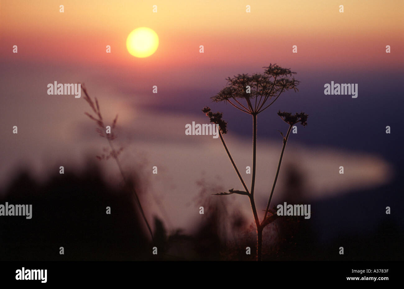 Pfaender mountain sunset hi-res stock photography and images - Alamy