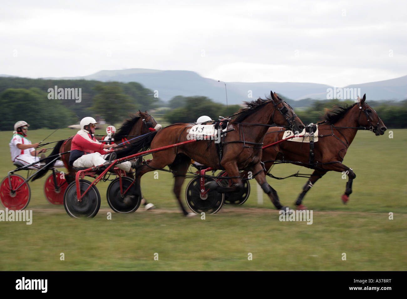 Mid Wales Trotting Races at Evenjobb Stock Photo - Alamy