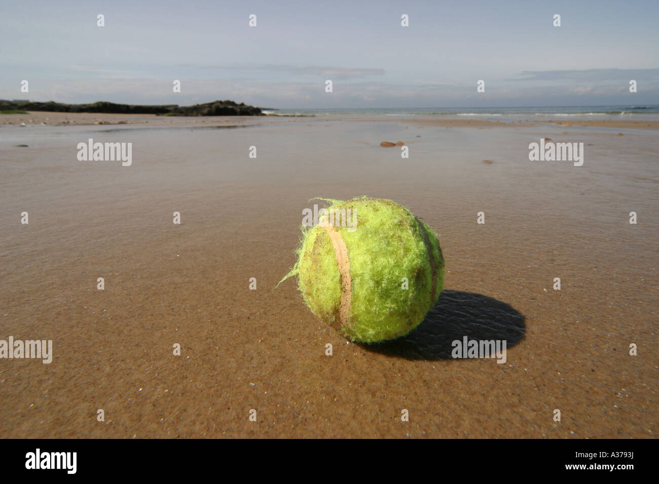 tennis ball washed up on the shore Stock Photo - Alamy