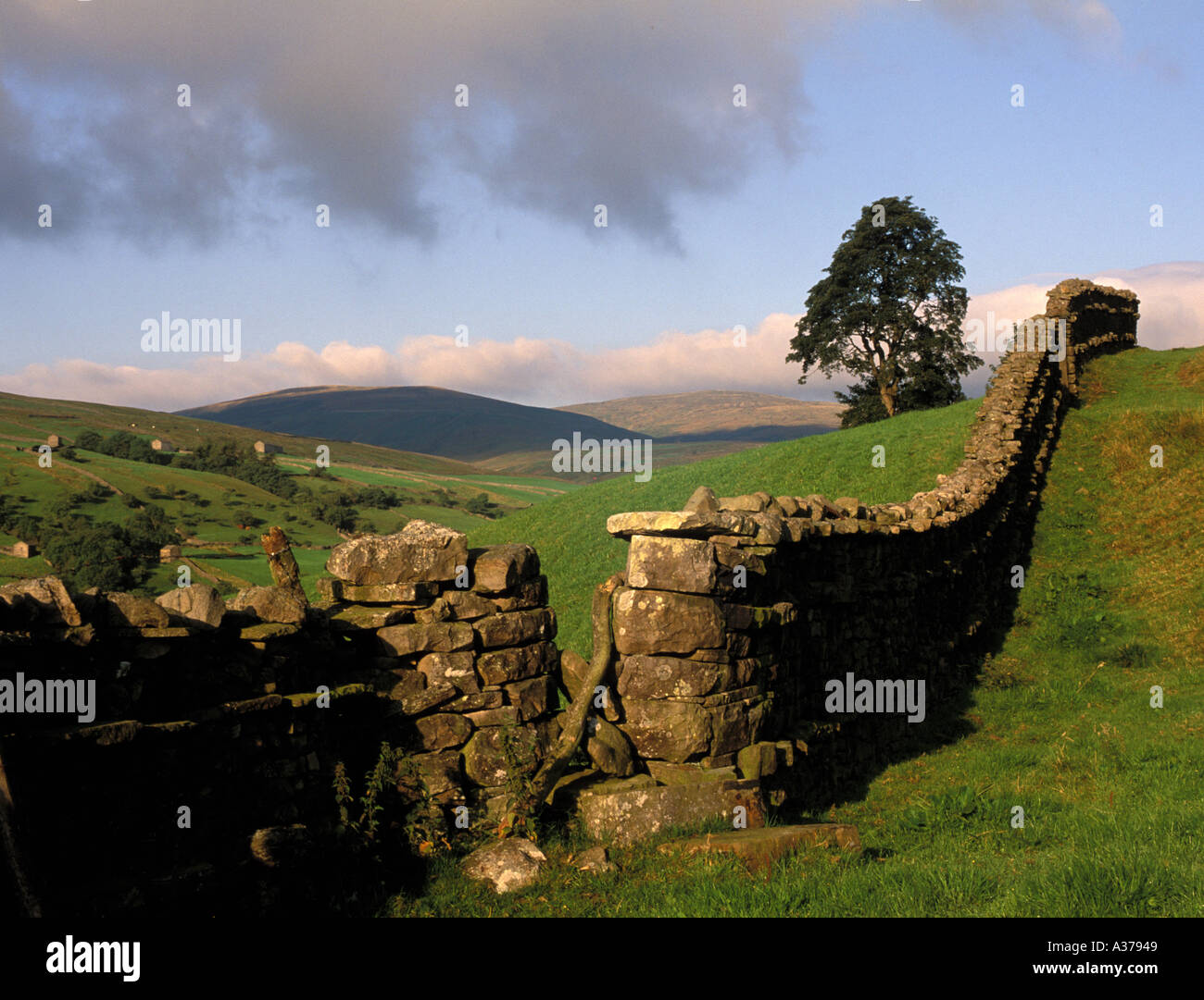 Stone walls winding through the hills of Yorkshire Dales England Stock ...
