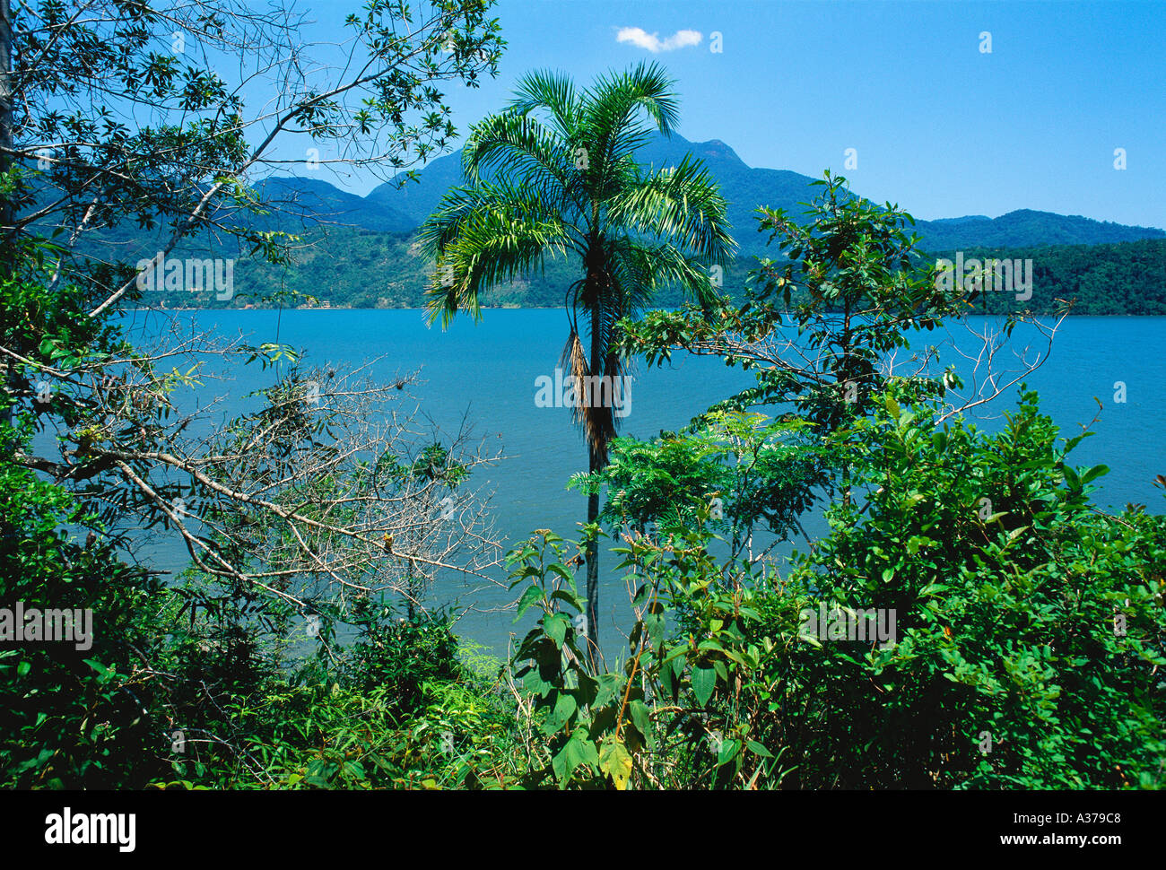 Inlet of the Atlantic Ocean bordered by the Serra do Mar mountain range ...