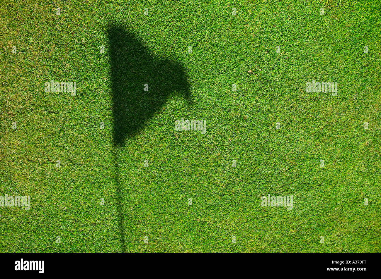Shadow on grass Stock Photo - Alamy
