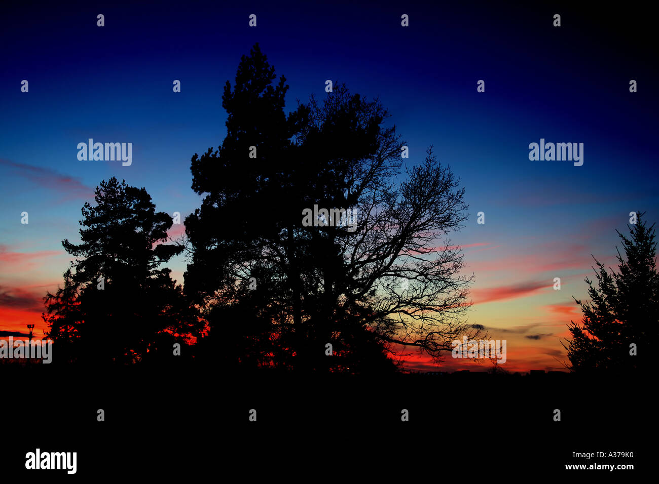 Silhouettes of trees line hi-res stock photography and images - Alamy