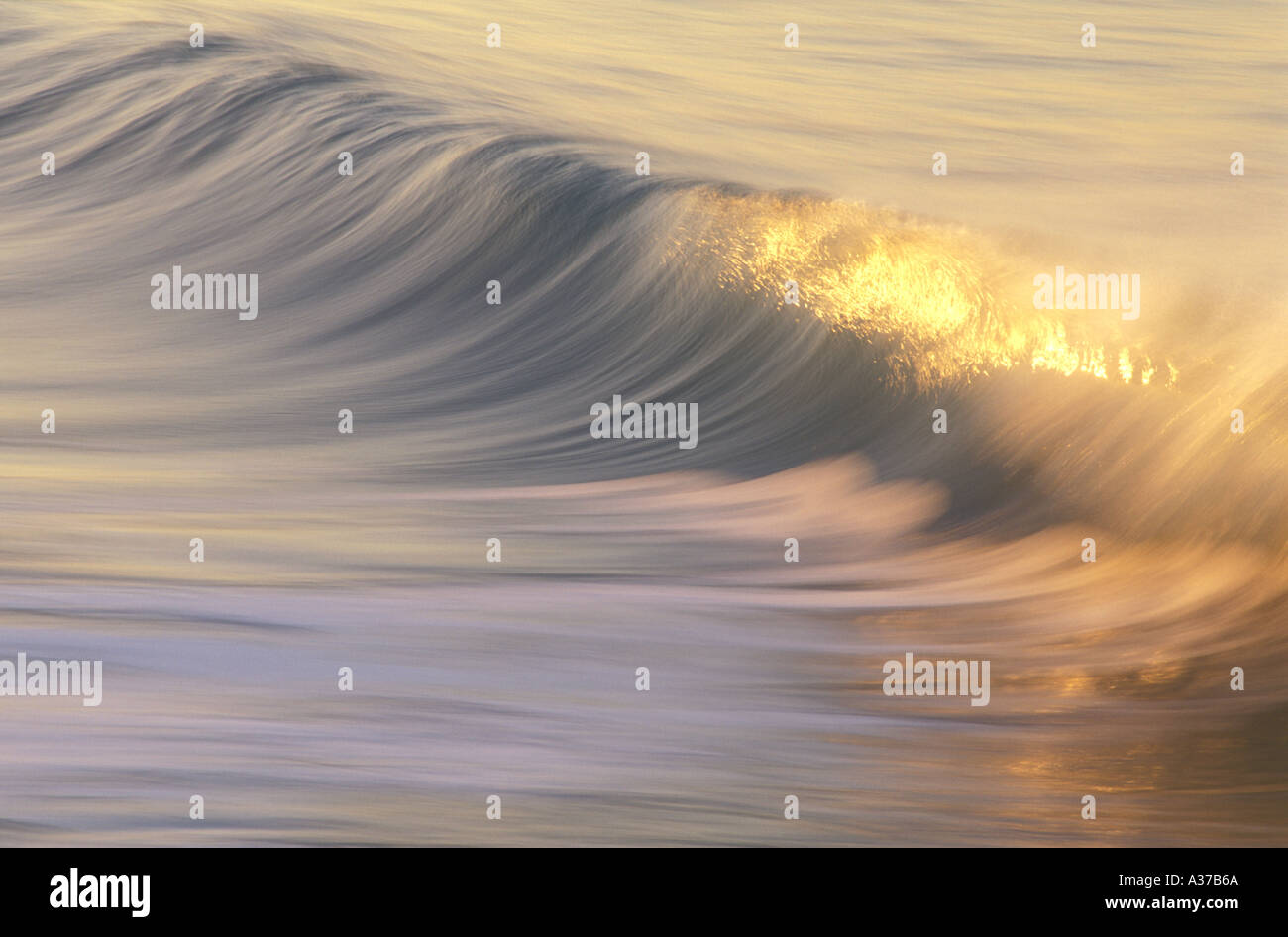 Pacific coast wave reflecting sunrise light Stock Photo - Alamy