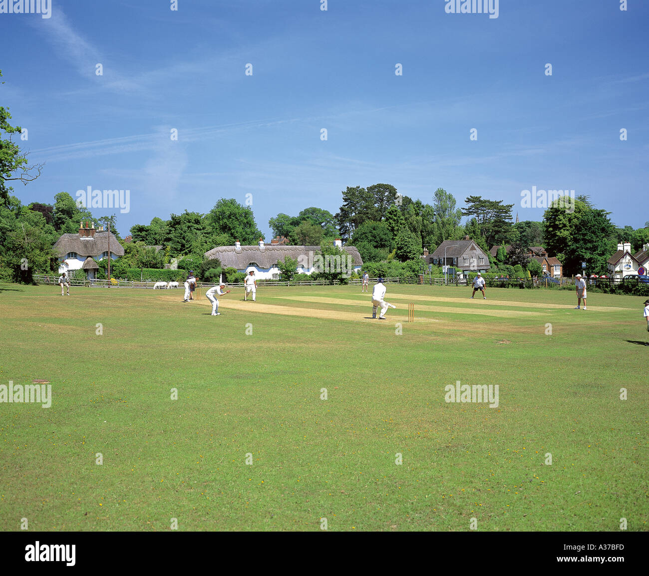 New forest cricket match hi-res stock photography and images - Alamy