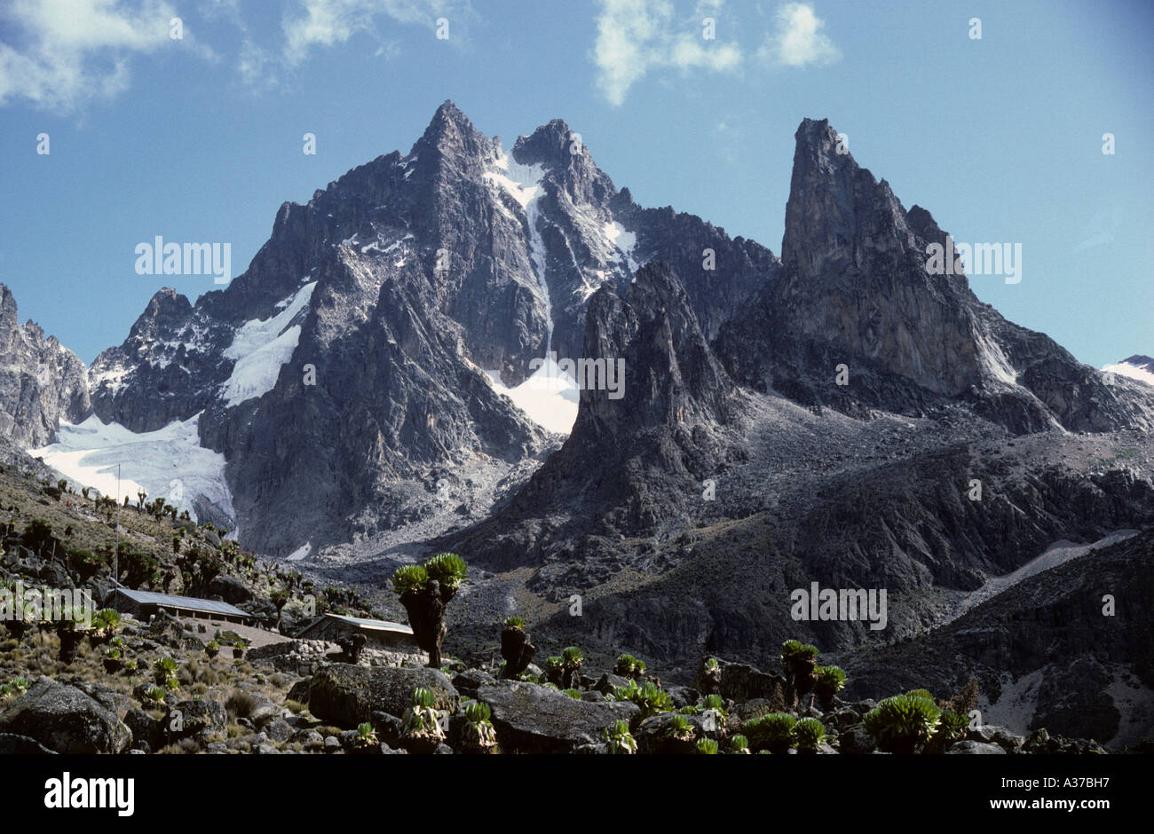 Teleki hi-res stock photography and images - Alamy