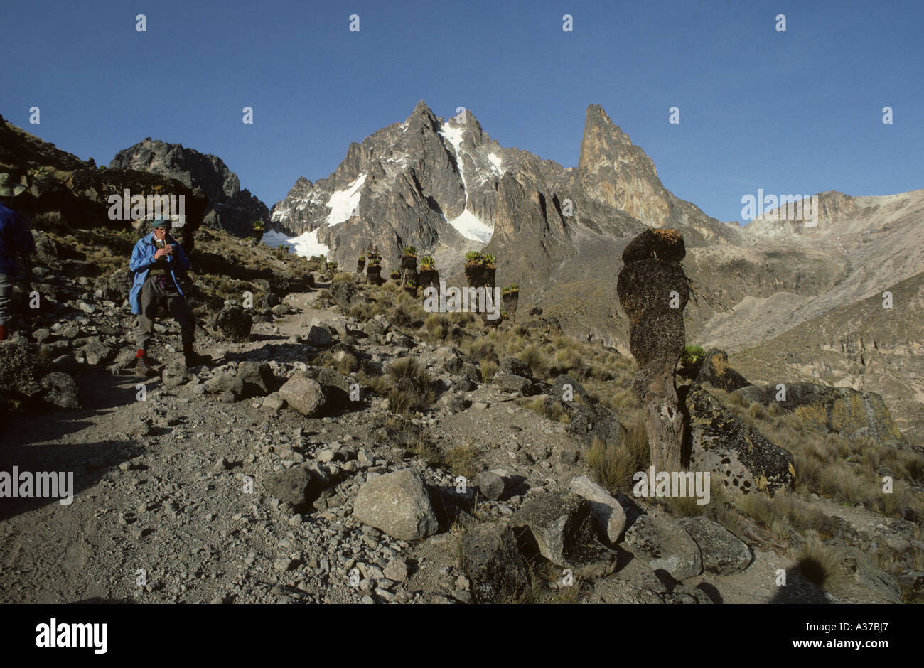 Teleki hi-res stock photography and images - Alamy