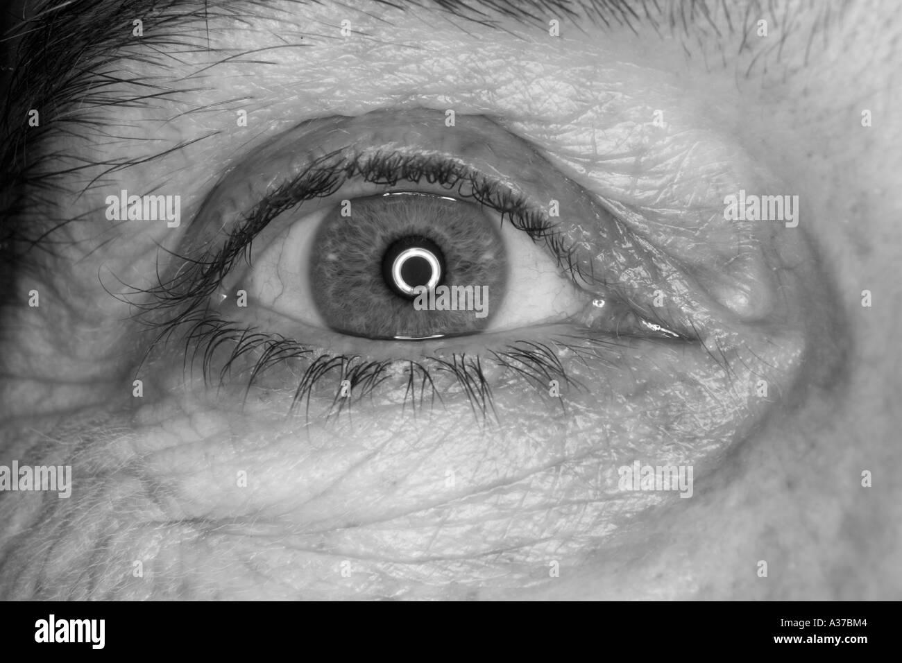 Photograph taken close up Black and White Stock Photos & Images - Alamy