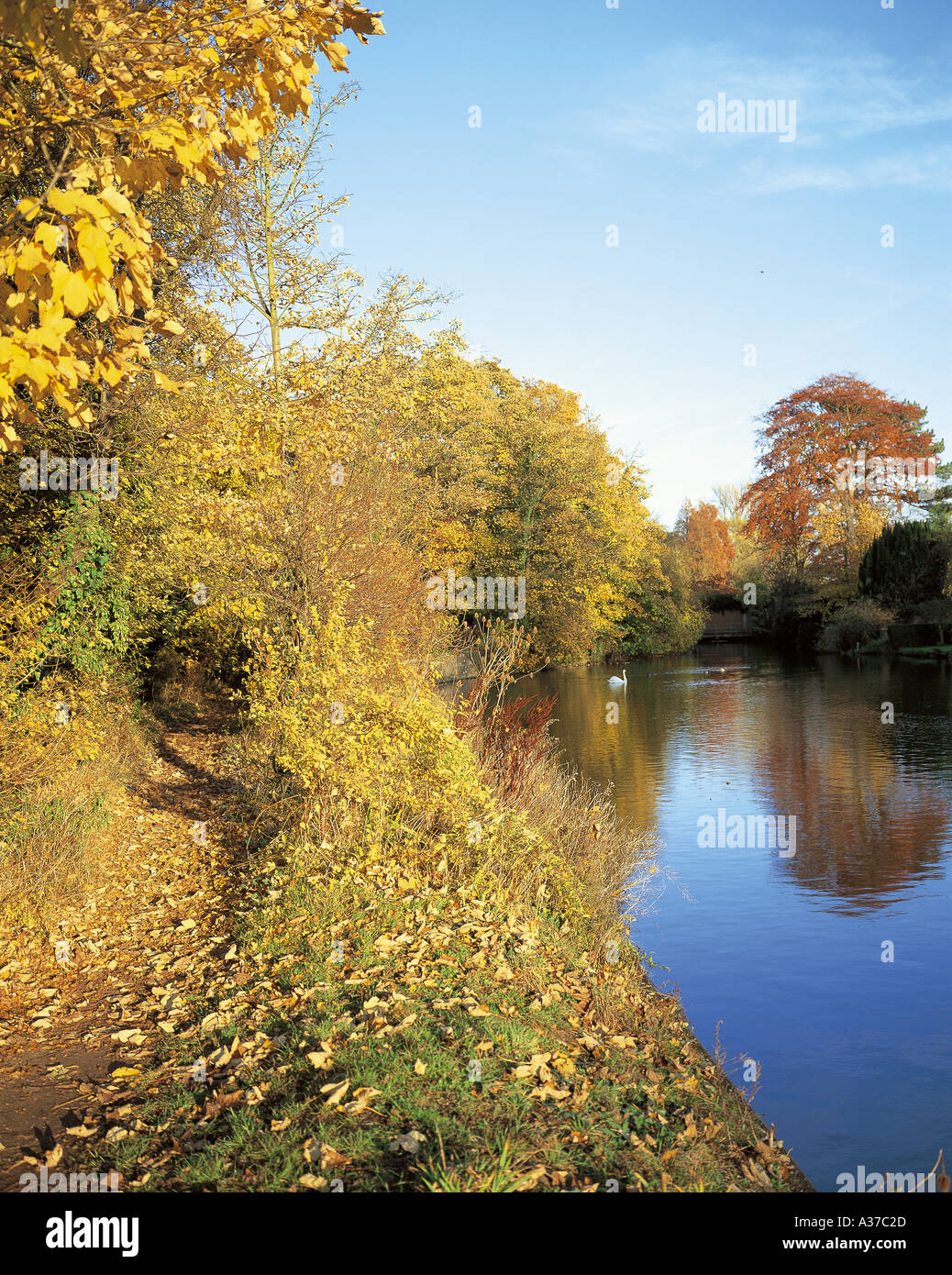 Backwater of river thames hi-res stock photography and images - Alamy