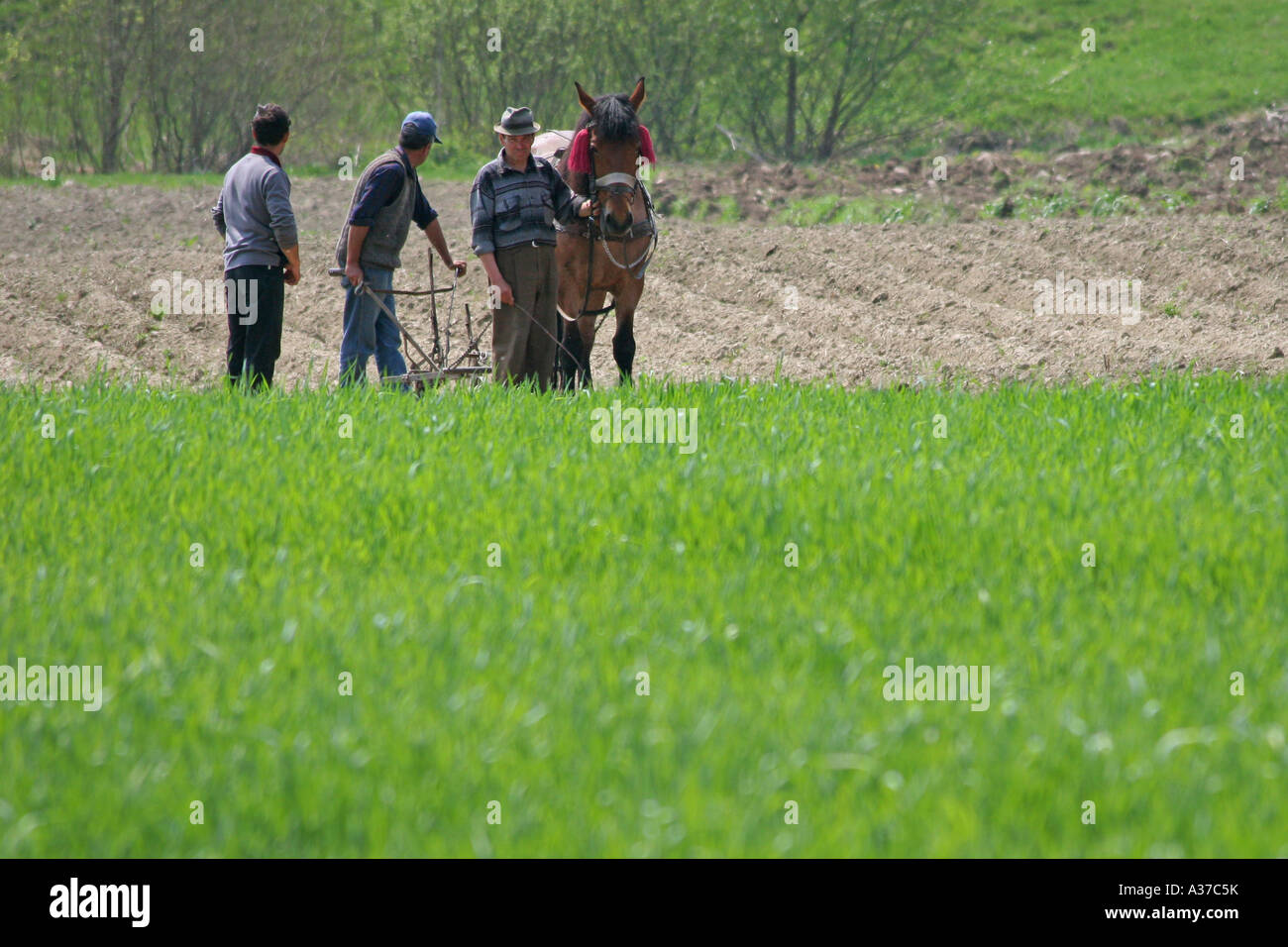 People Working the Land Stock Photo - Alamy