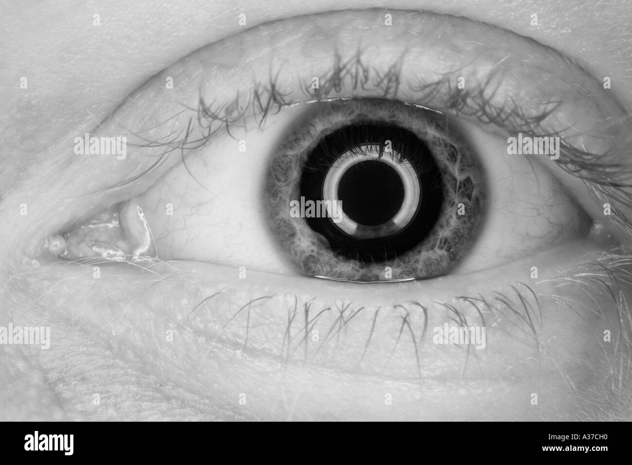Eye man detail Black and White Stock Photos & Images - Alamy