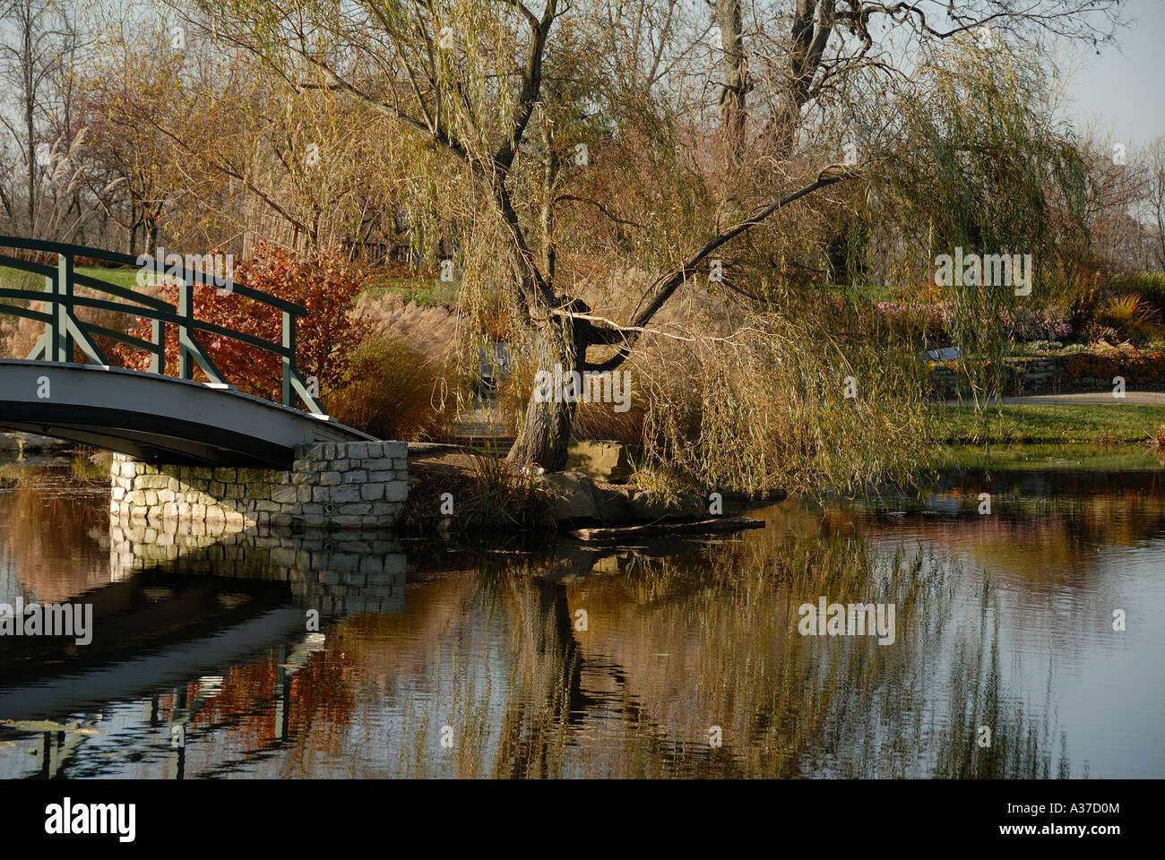 Weeping willow bridge hi-res stock photography and images - Alamy