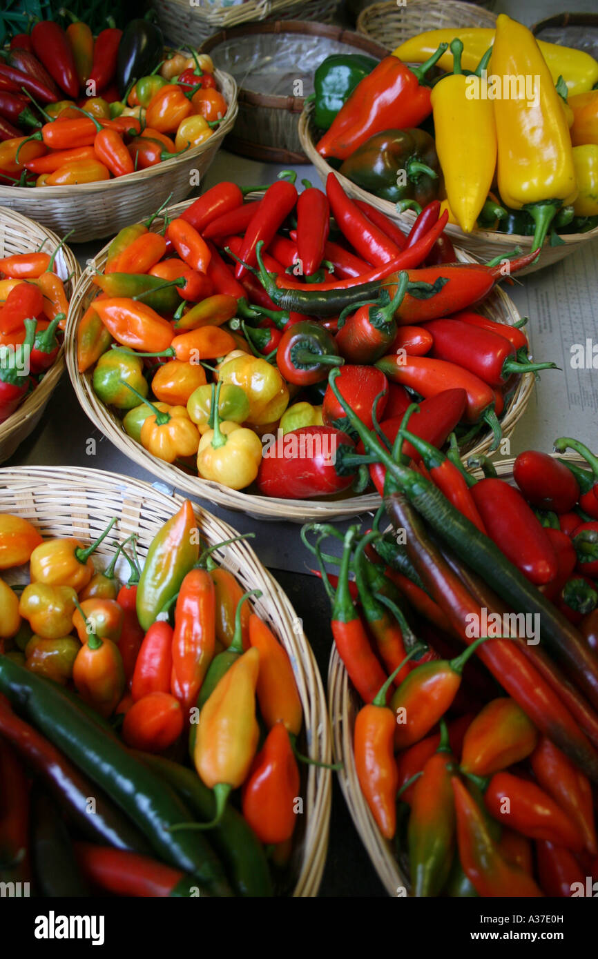 Chilli peppers in baskets. Various types, shapes and colours. Portrait ...