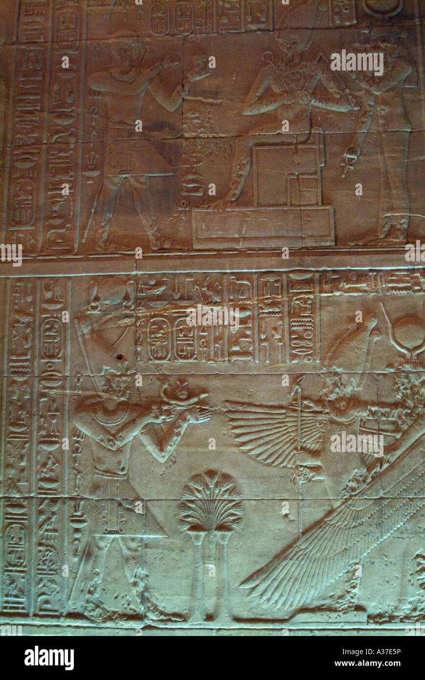 Philae Temple of goddess Isis wall decorations Pearl of the Nile ...