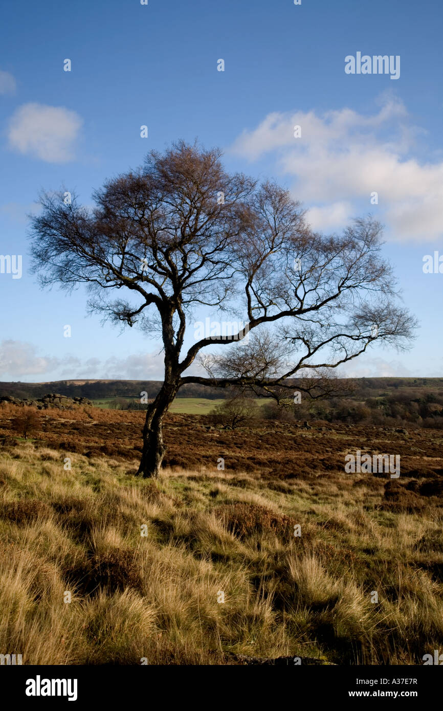 Lawrence field derbyshire hi-res stock photography and images - Alamy