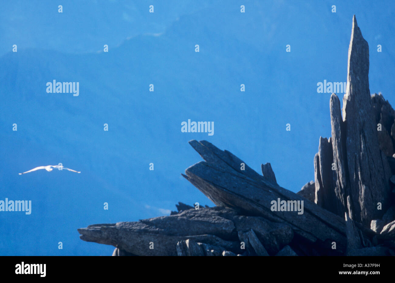 Glyder Fach summit rocks Castell Y Gwynt Snowdonia National Park, North ...