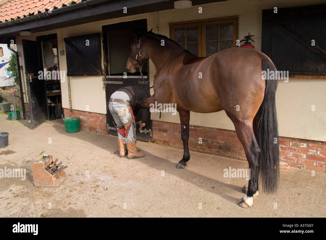 farrier working on horses hoof Stock Photo - Alamy