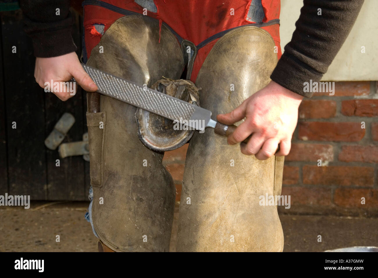 Levelling the foot underside with a rasp Stock Photo - Alamy