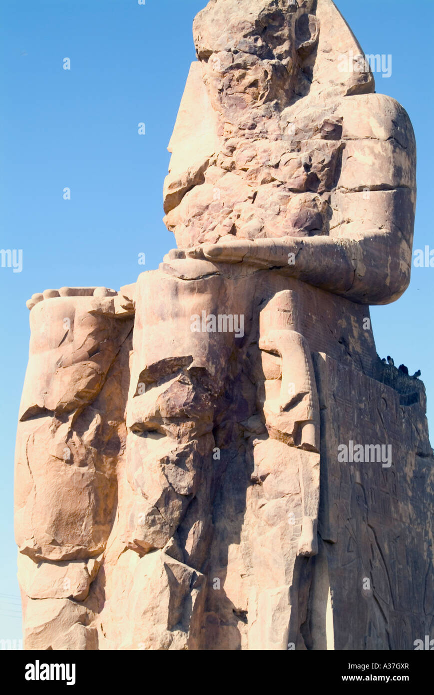 Colossi of Memmon remains of mortuary temple of Amenophis III guarding ...