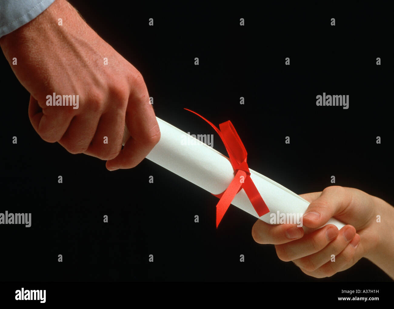 Receiving Diploma Stock Photos & Receiving Diploma Stock Images - Alamy