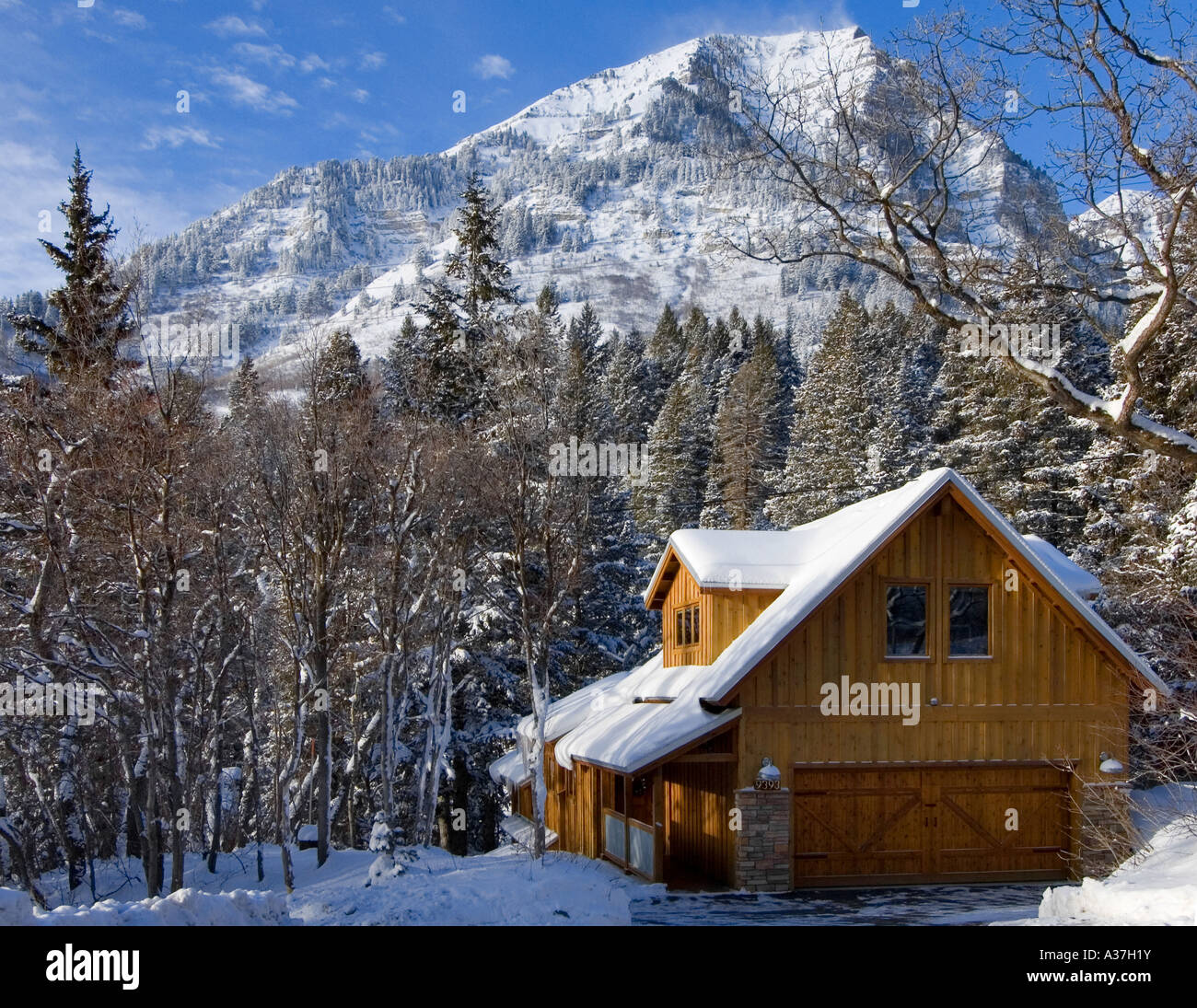 Winter Mountain Cabin Backgrounds