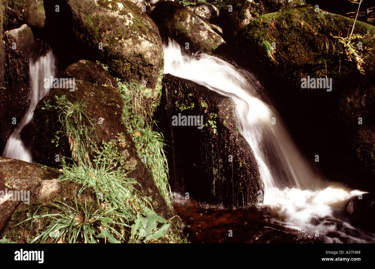 Rock pool in the Devonshire hillside England Stock Photo - Alamy