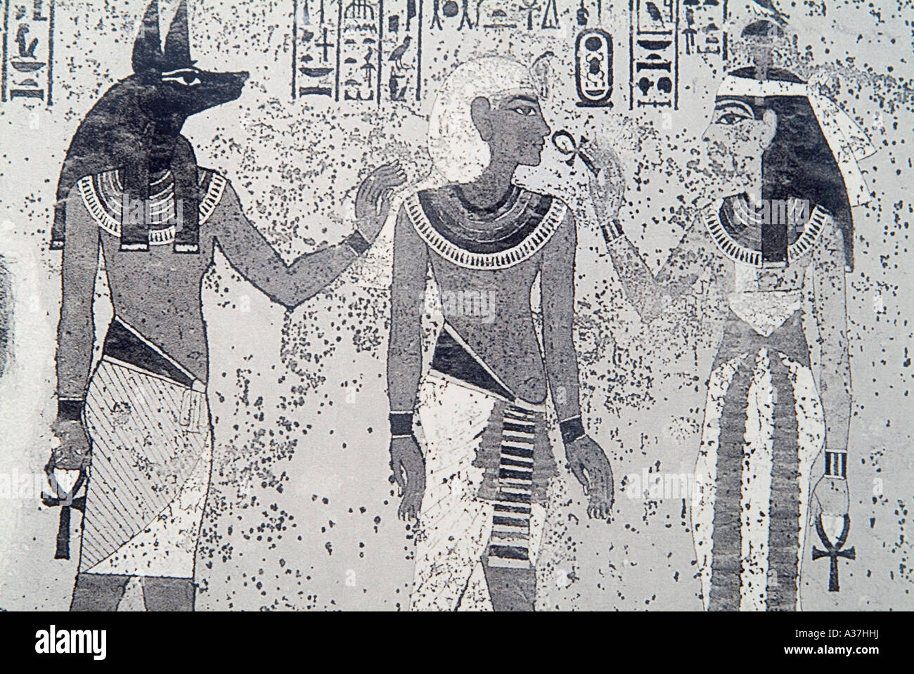 Valley of the Kings reportage KV 62 King Tutankhamen tomb diagram ...