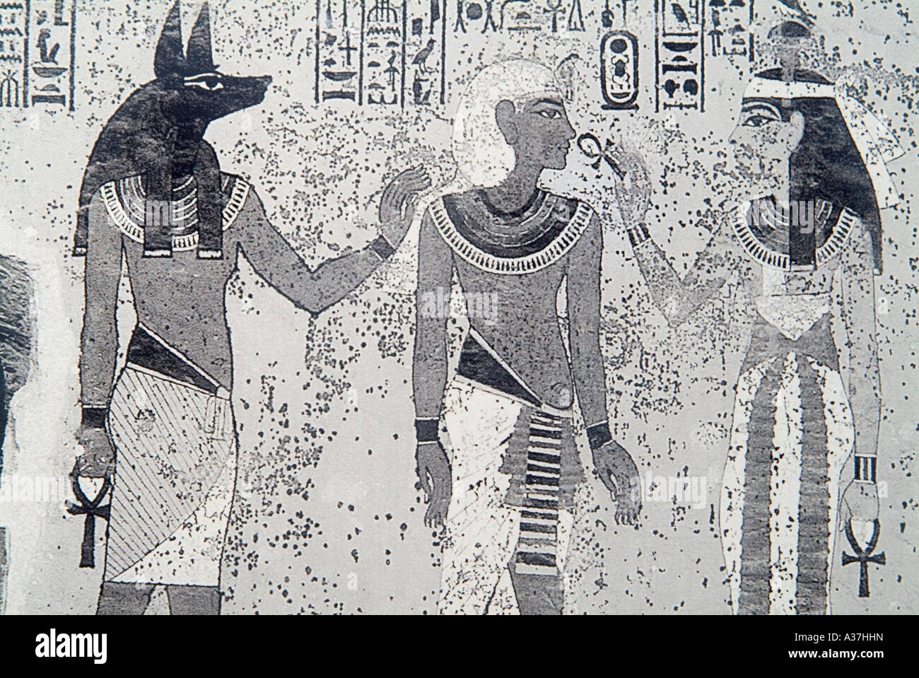 Valley of the Kings reportage KV 62 King Tutankhamen tomb diagram ...