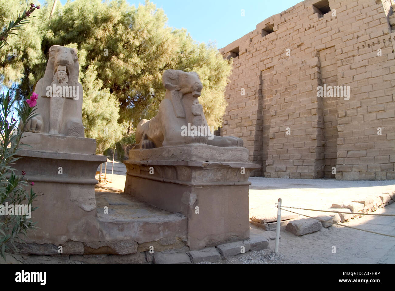 Karnak Temple two ram sphinx statues avenue of ram headed sphinxes ...