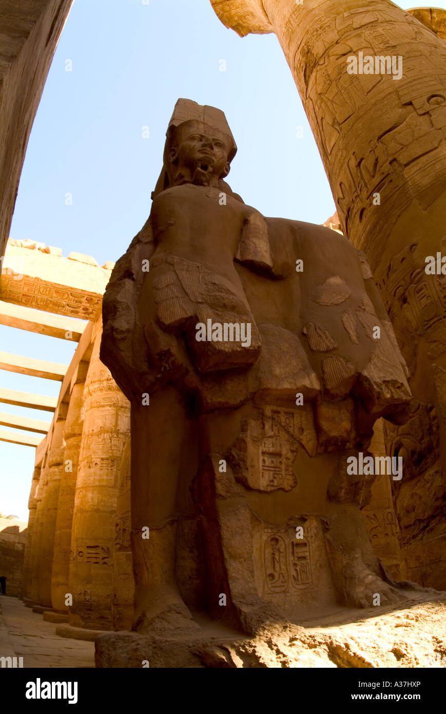 Papyrus bud columns hi-res stock photography and images - Alamy