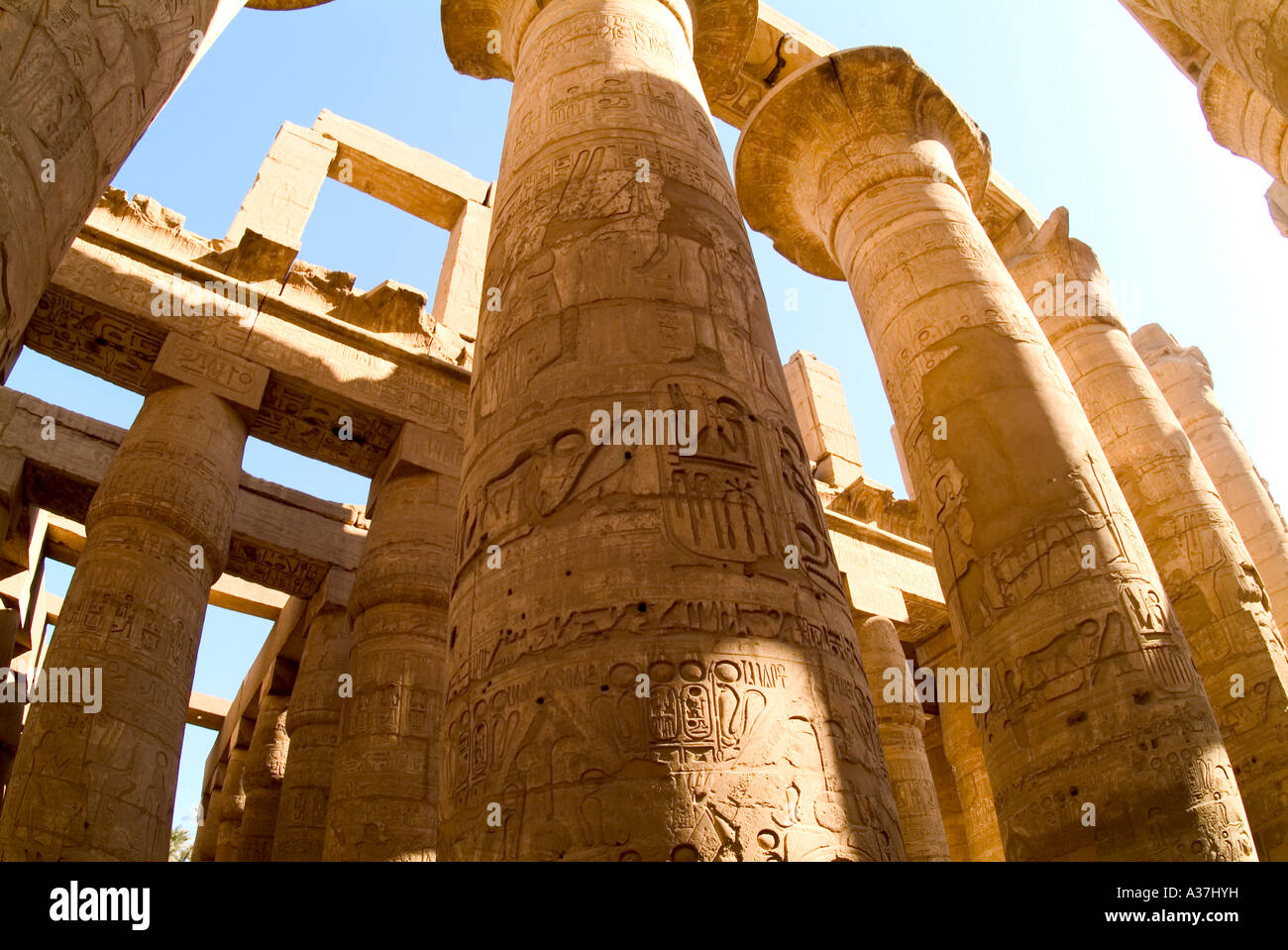Papyrus bud columns hi-res stock photography and images - Alamy