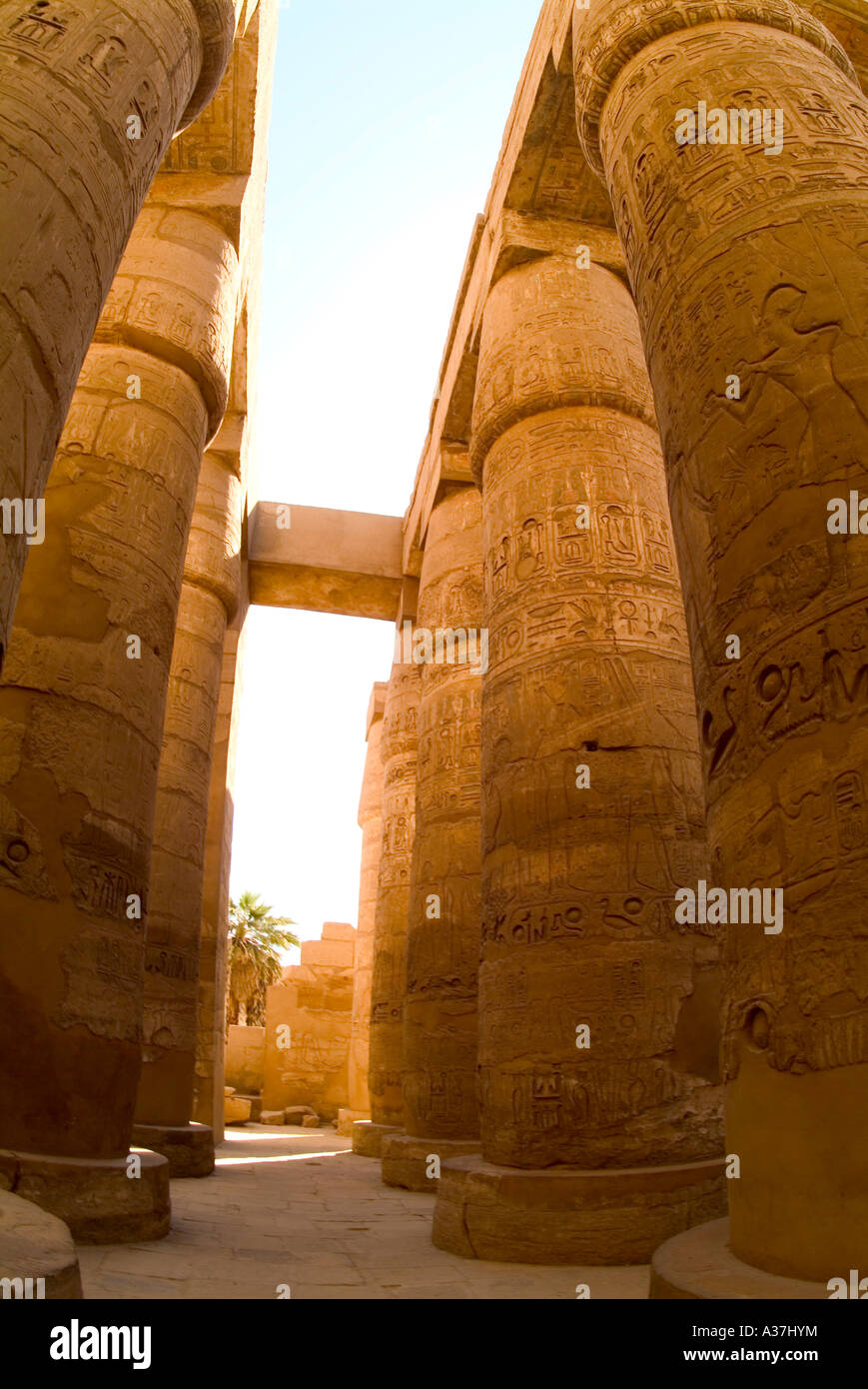 Papyrus bud columns hi-res stock photography and images - Alamy