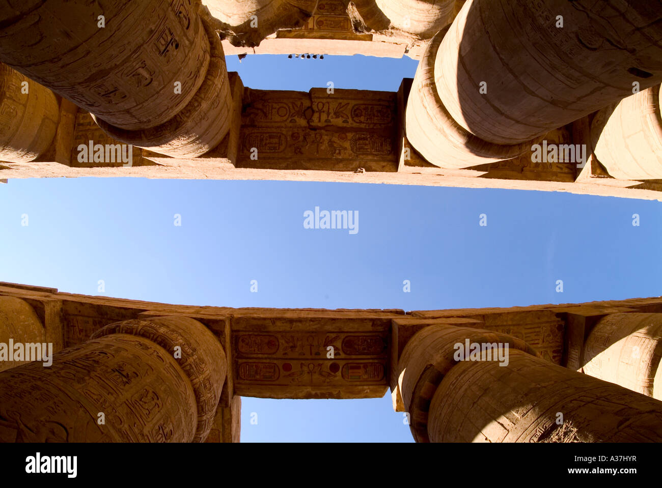 Papyrus bud columns hi-res stock photography and images - Alamy