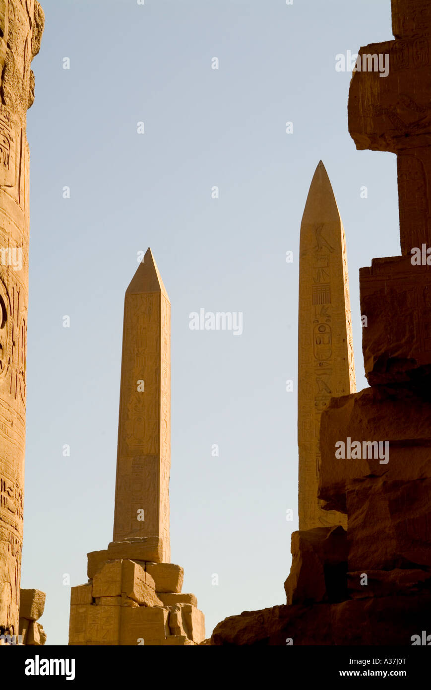 Papyrus bud columns hi-res stock photography and images - Alamy