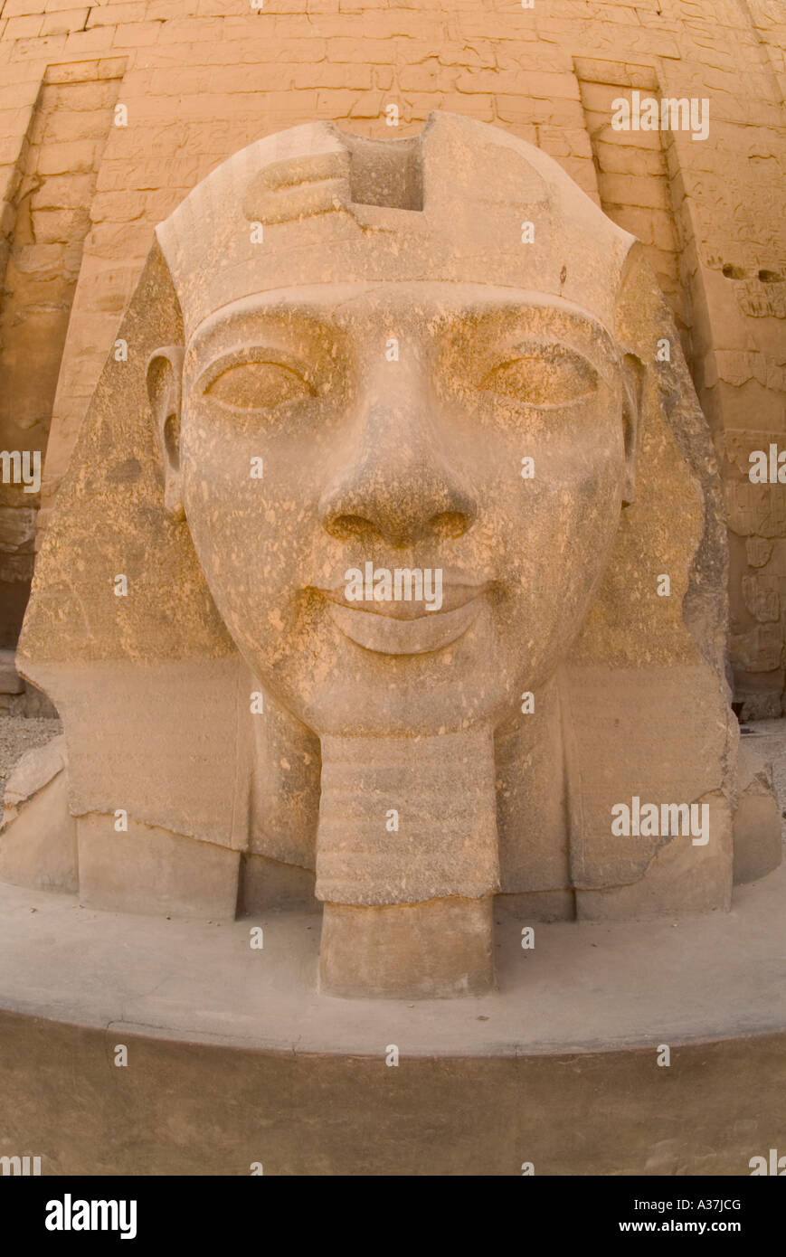 Luxor Temple Thebes pharaoh head statue front view facing entrance ...