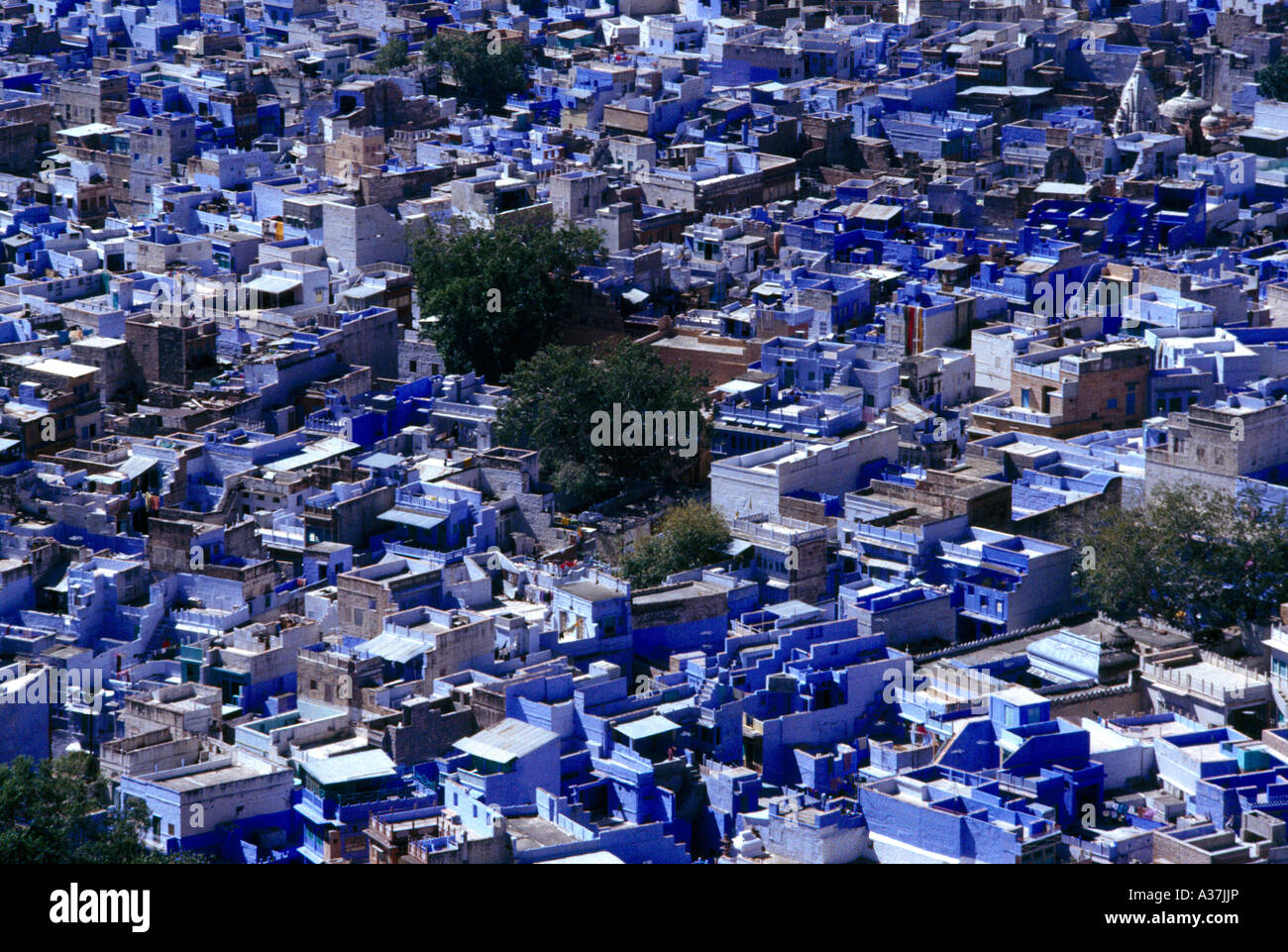 Jodhpur India Blue Houses Seen From Fort Stock Photo - Alamy