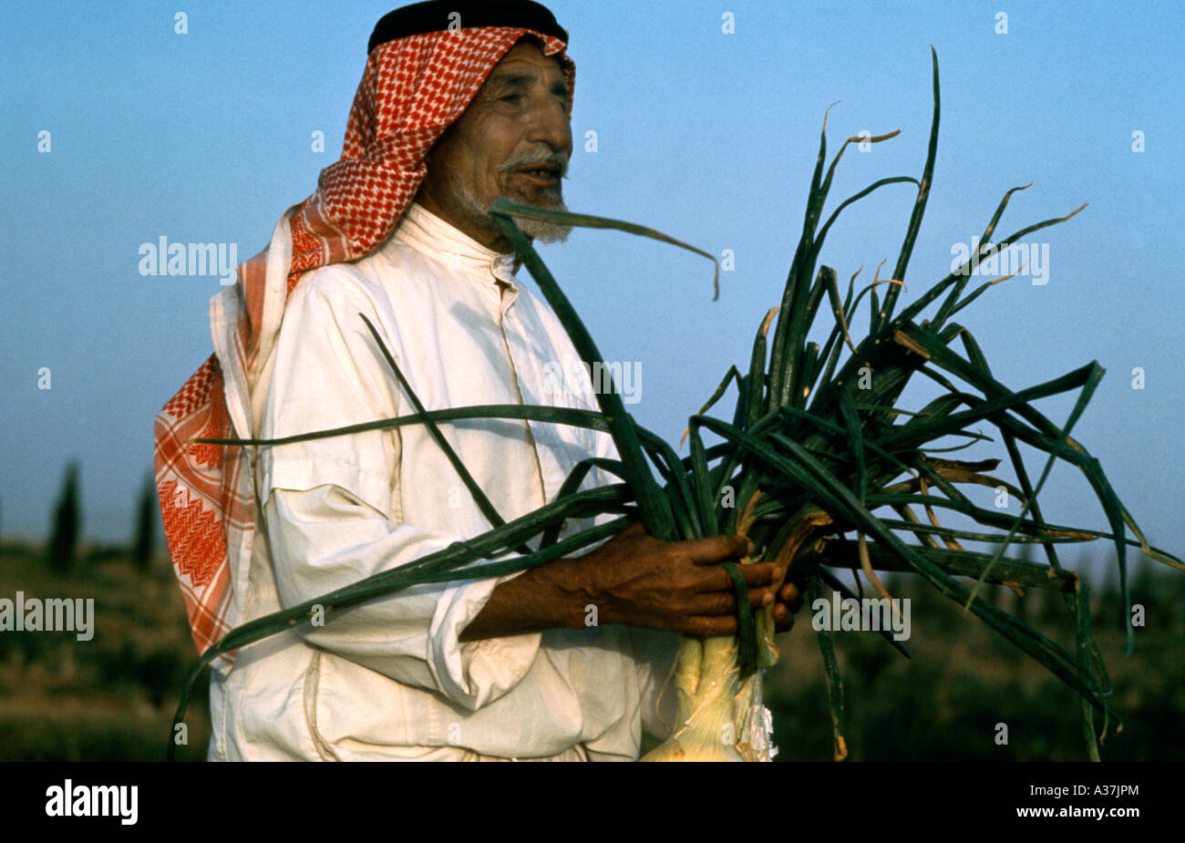 Saudi Arabia Farmer Stock Photo - Alamy